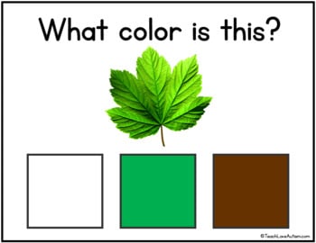 Digital Basic Skills Task Cards & Boom Cards (Letters, Numbers, Shapes ...