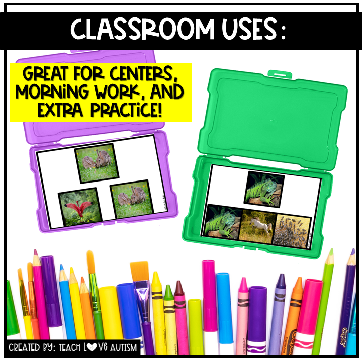 Real Photo Task Cards: Animals - Teach Love Autism