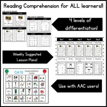 Buses Reading Comprehension with Visuals for Special Education - Teach ...