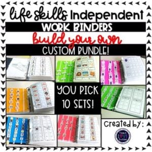 Easy and Simple Independent Work Binder Setup - Teach Love Autism