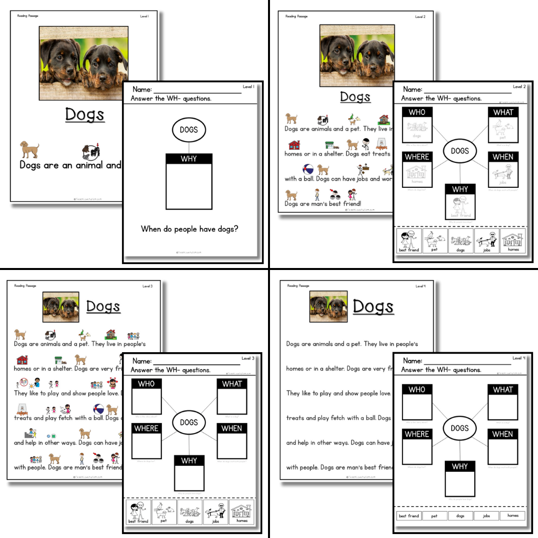 Differentiated Instruction Strategies for the Special Education ...