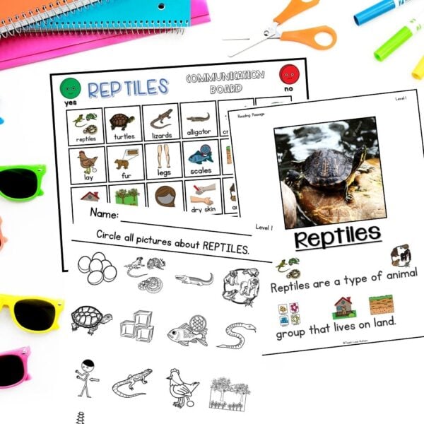 5 No-Prep Worksheet Activities for Special Education Classrooms After a ...